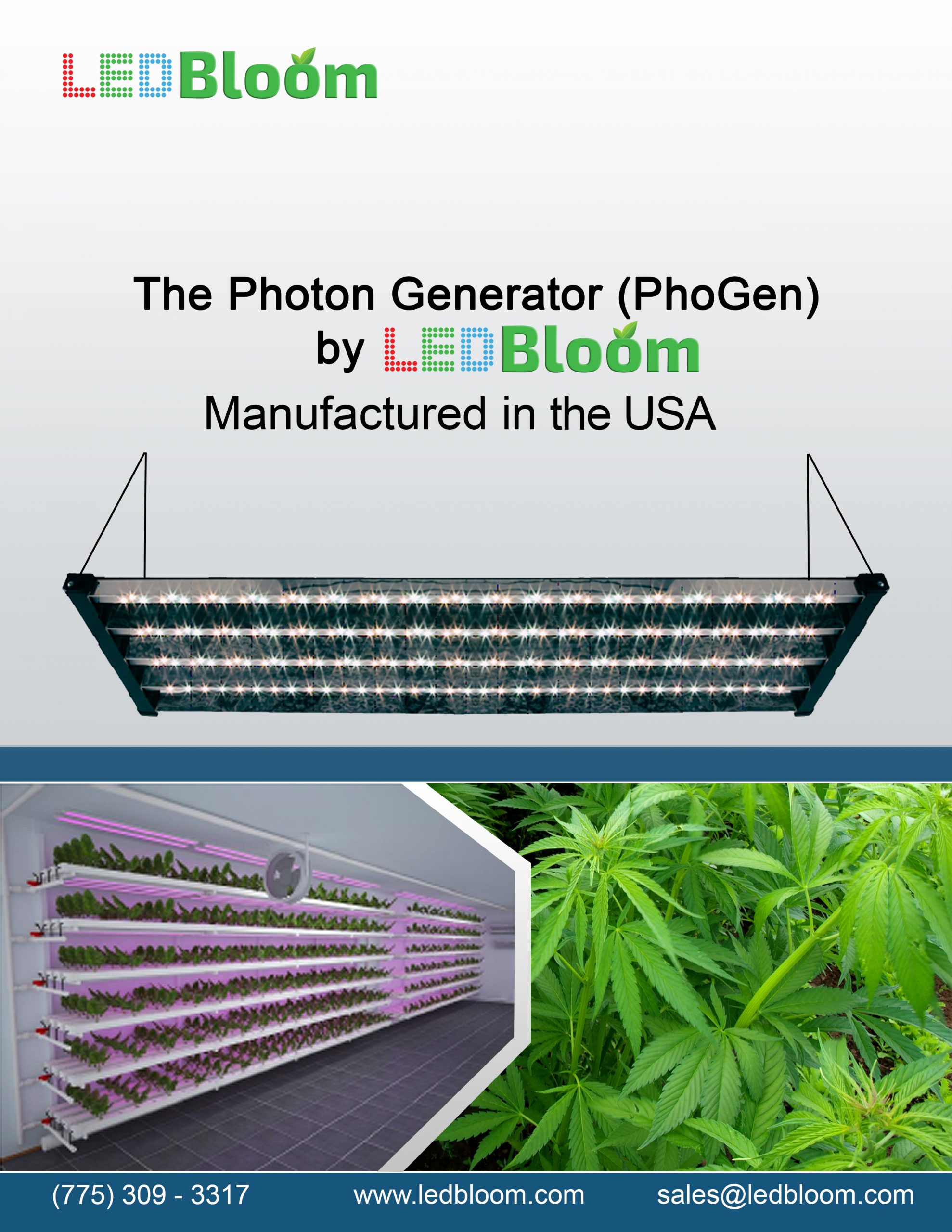 Photon Generator – Led Bloom